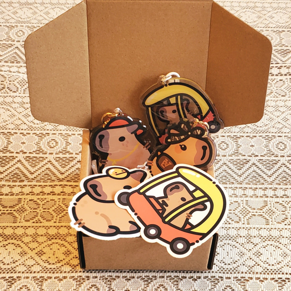 Capybara Bundle Gift Box – EveoArt